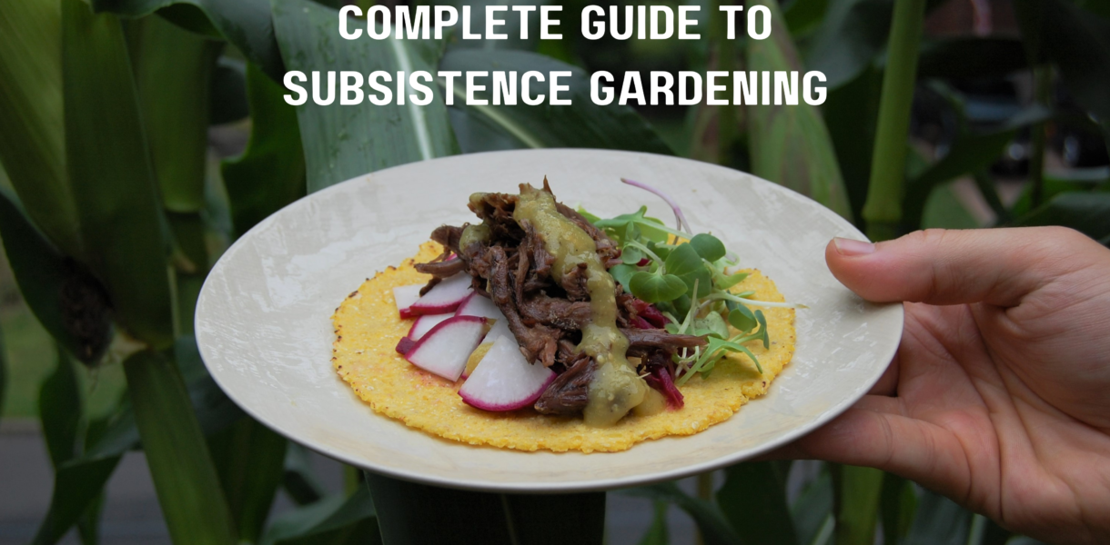 Home Grown - Home Grown | Hand Gathered