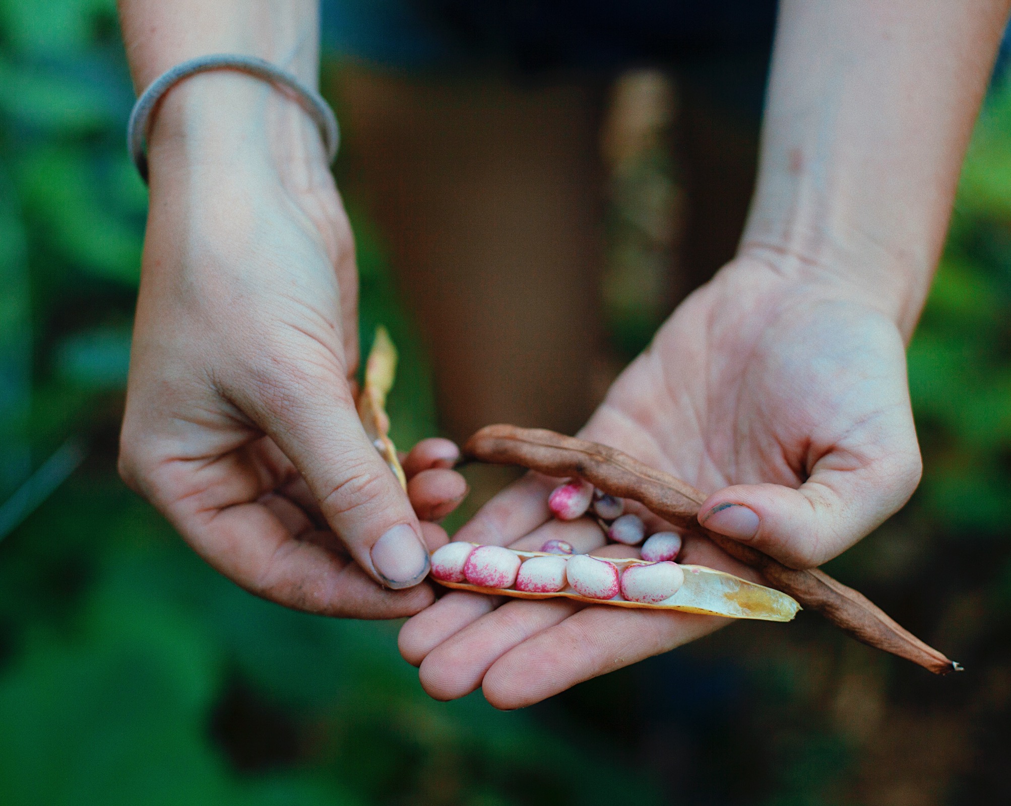 Our Favorite Vegetable Varieties - Home Grown | Hand Gathered